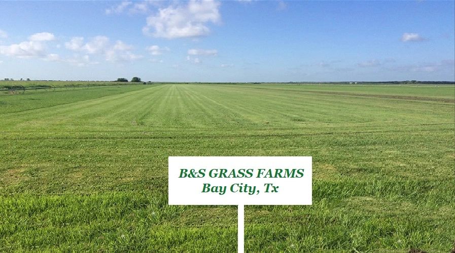 B S Grass Farms